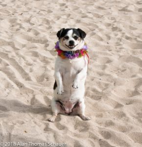 Photography by Alan Thomas Schauer